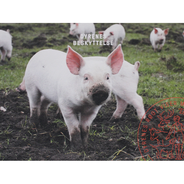 Kort - forskellige varianter - ALLE PRODUKTER - Dyrenes Beskyttelse